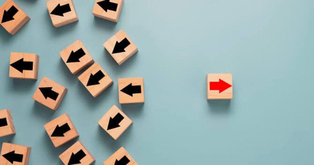 Objective Blog | Why you shouldn’t follow the pack when it comes to ...